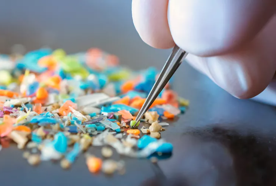 WHAT ARE MICROPLASTICS? WHY WE NEED TO BE CONCERNED ABOUT THEM AND HOW ...
